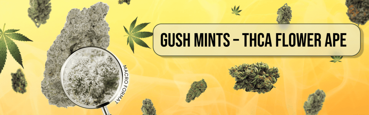 Top Cherry Weed Strains: A Deep Dive into the Best Cherry-Flavored ...