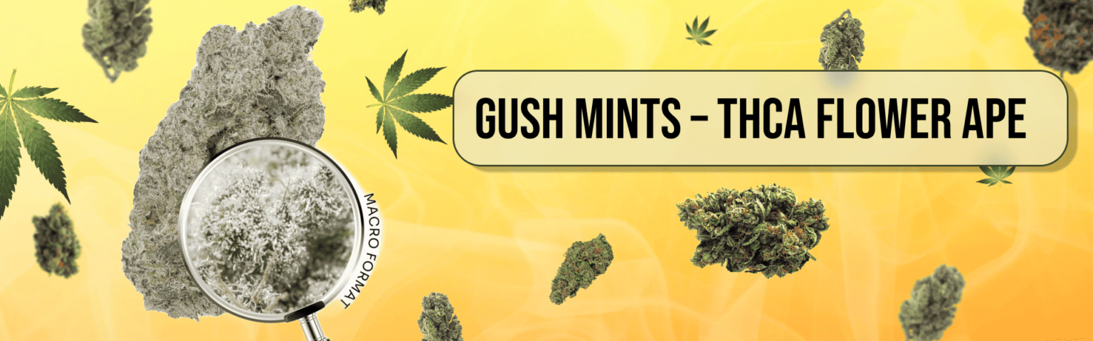 Top Cherry Weed Strains: A Deep Dive into the Best Cherry-Flavored ...