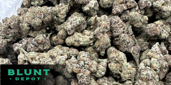 Super Silver Haze Strain: The Ultimate Guide to Its Effects, Flavor ...