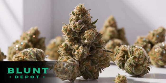 Glitter Bomb Strain Review: Effects, THC Content, Benefits, and Why It ...
