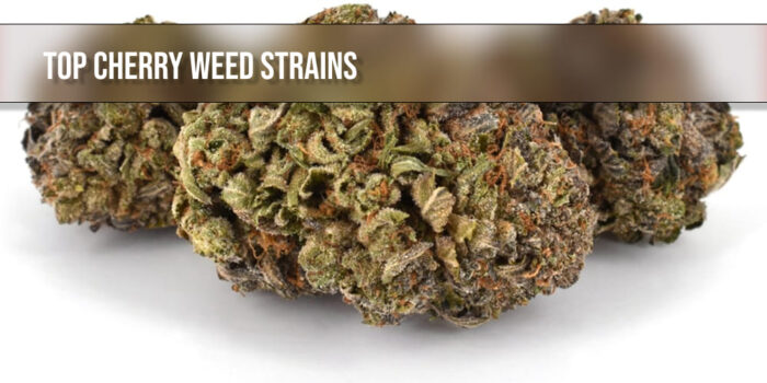Top Cherry Weed Strains: A Deep Dive into the Best Cherry-Flavored ...