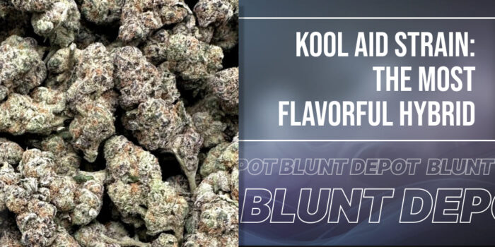 Kool Aid strain: the most flavorful hybrid - BLUNTDEPOT