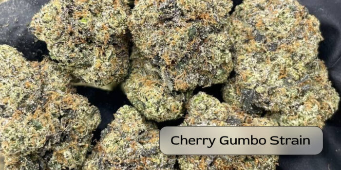 Cherry Weed Strains: Overview and Benefits - BLUNTDEPOT
