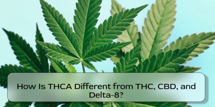 THCA vs Delta 8 vs Delta 9: What’s the Difference? - BLUNTDEPOT