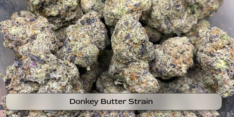 Donkey Butter Strain - BLUNTDEPOT