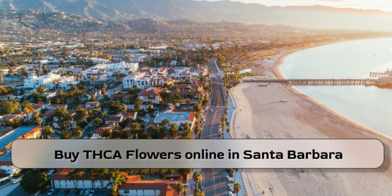 Dark Weed: A Guide to the Most Popular "Dark" Cannabis Strains - BLUNTDEPOT