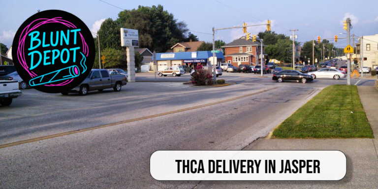 THCA delivery in Jasper - BLUNTDEPOT